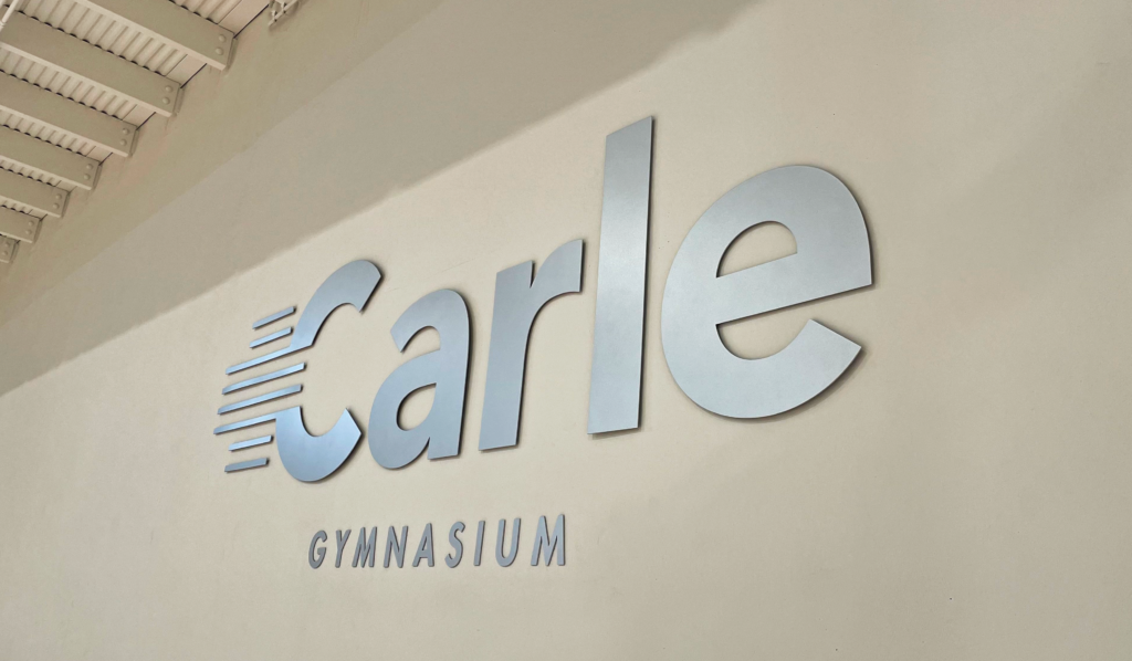 Dimensional Letters & Logos - Ace Sign Co